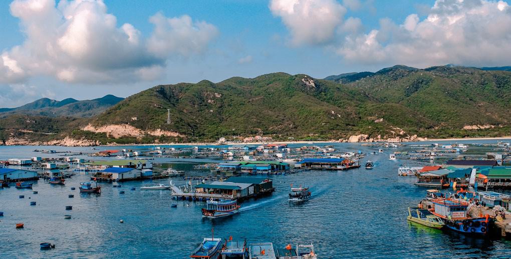 Du Lịch Biển Bình Hưng Có Gì Vui Và Hấp Dẫn